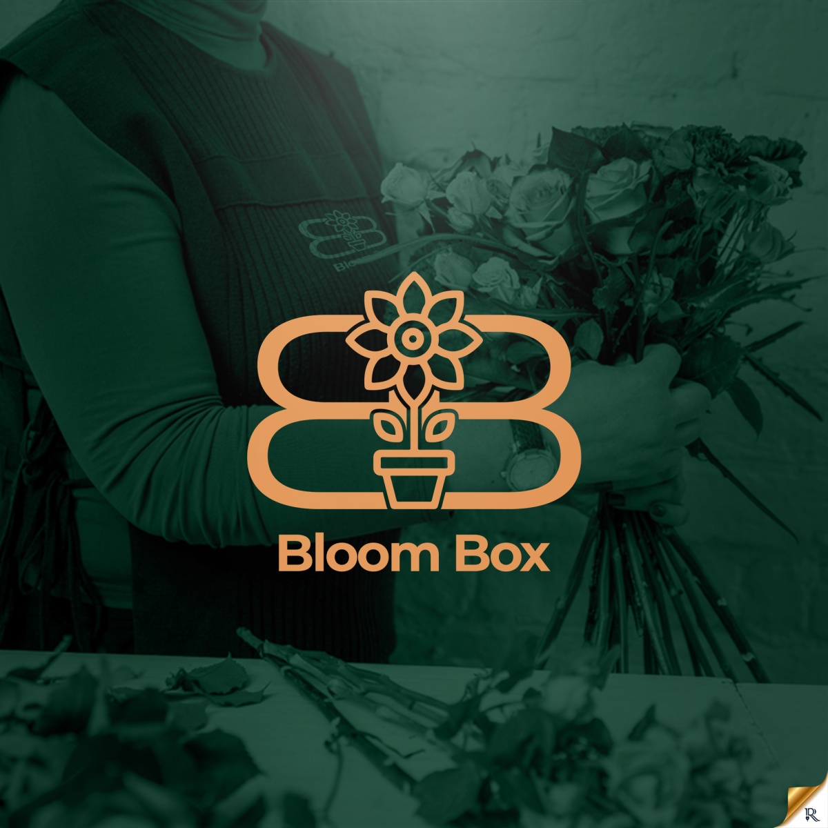 Bloom Box - Roosevelt Multimedia